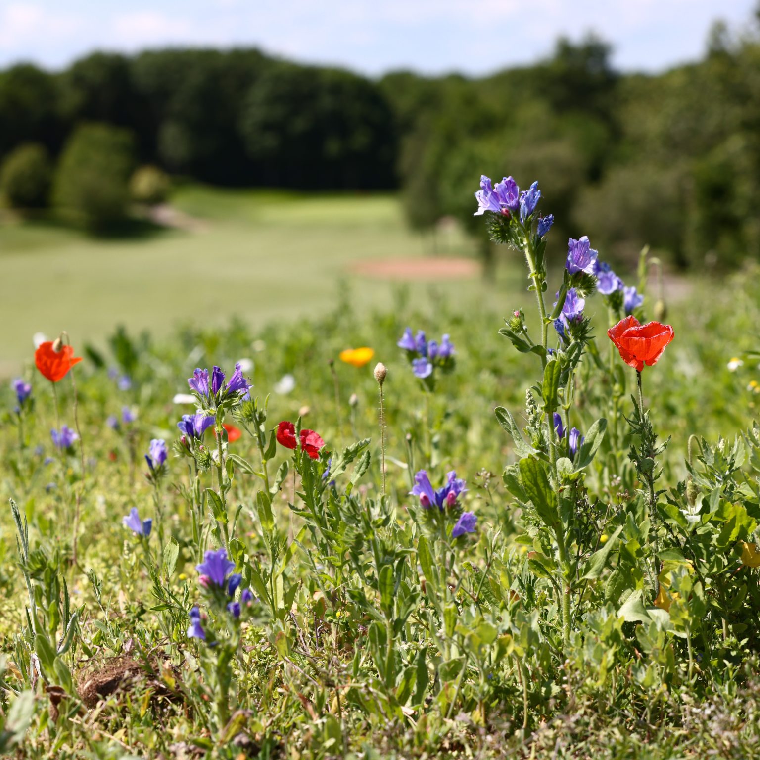 Contact Us | Get in touch with us | Gaudet Luce Golf & Leisure